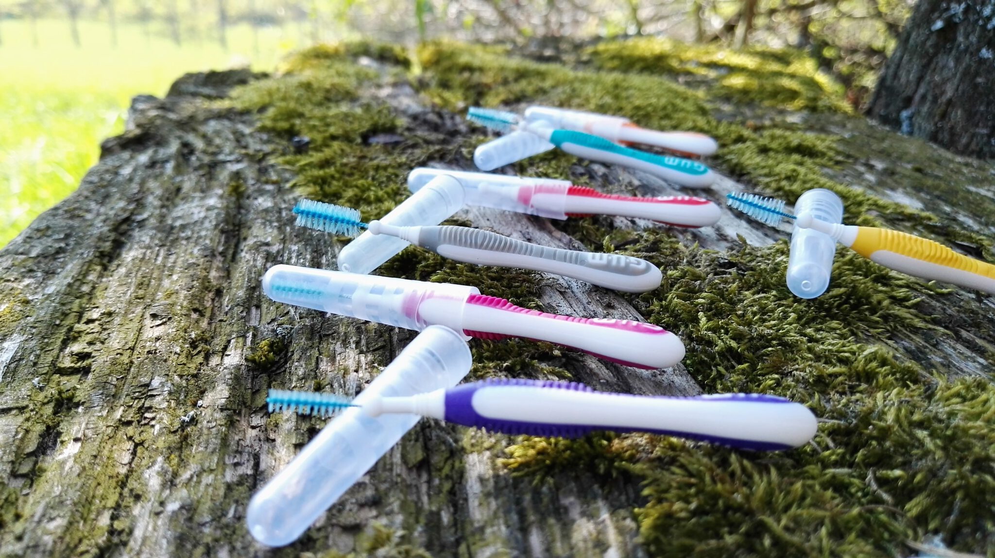Zahnarztpraxis Dr Waldmeyer Kassel - Fachzahnarzt für Oralchirurgie ...